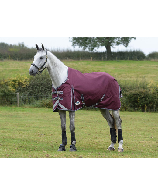 Weatherbeeta Comfitec PLUS Dynamic Standard Neck 100grm - Horse Rugs ...