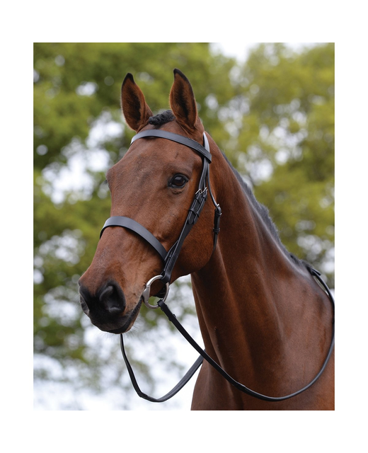 Kincade Flat Cavesson Show Bridle - Horse-Bridles : Richmond Saddlery ...