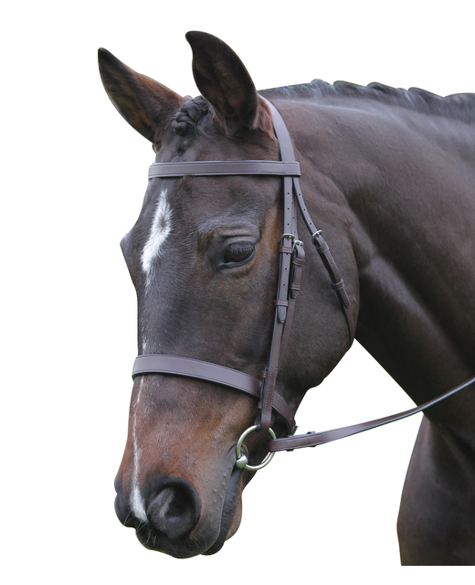 Kincade Flat Cavesson Show Bridle - Horse-Bridles : Richmond Saddlery ...