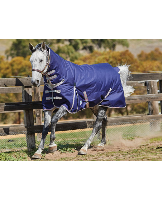 Weatherbeeta Comfitech Essential Combo Heavy - Horse Rugs-Autumn ...