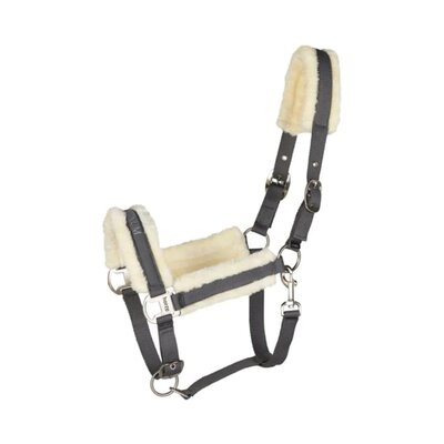 Horse : Richmond Saddlery