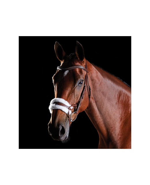 Collegiate Comfitec Sheepskin Bridle - Horse-Bridles : Richmond ...