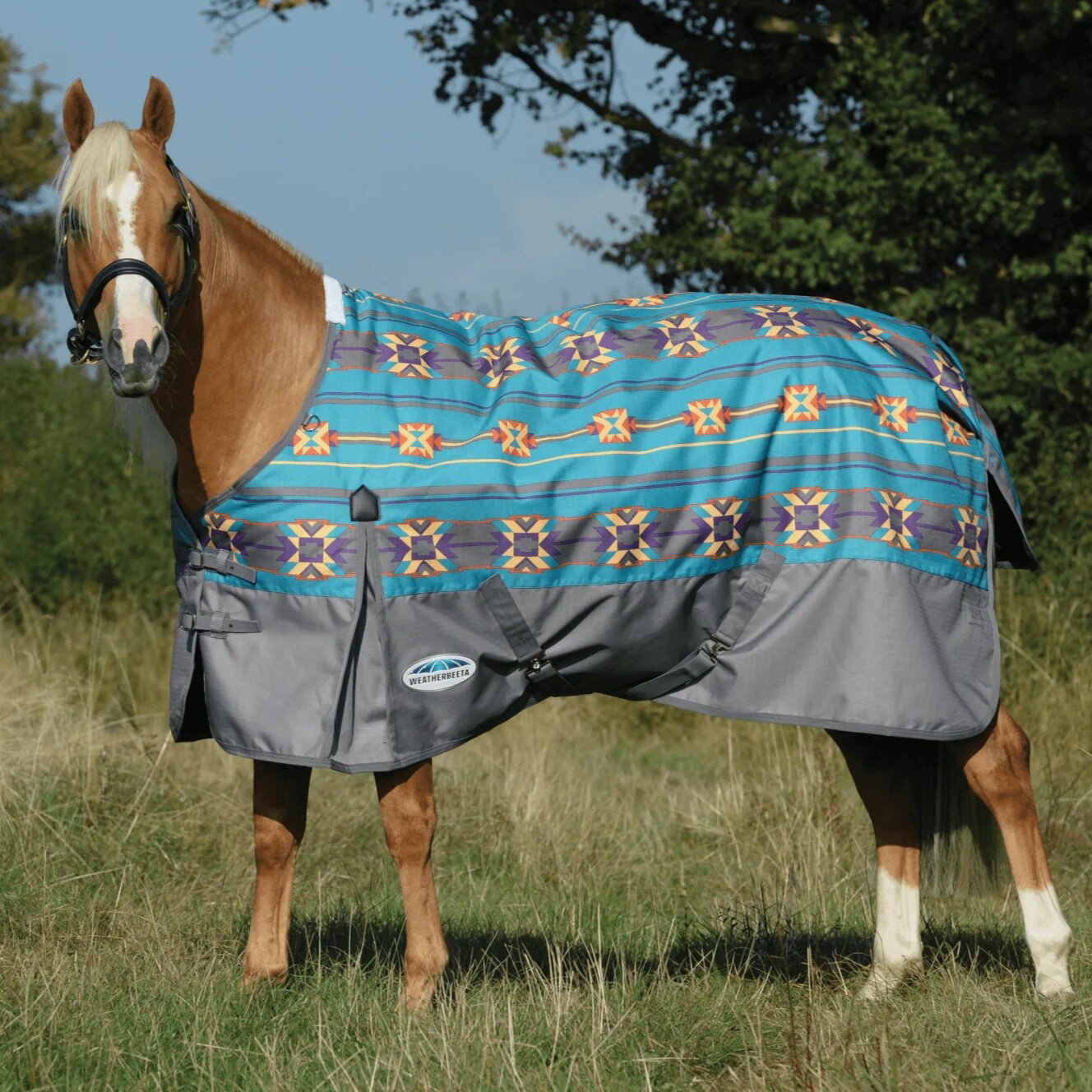 Weatherbeeta Comfitec Essential Standard Neck Lite Plus Season Print ...