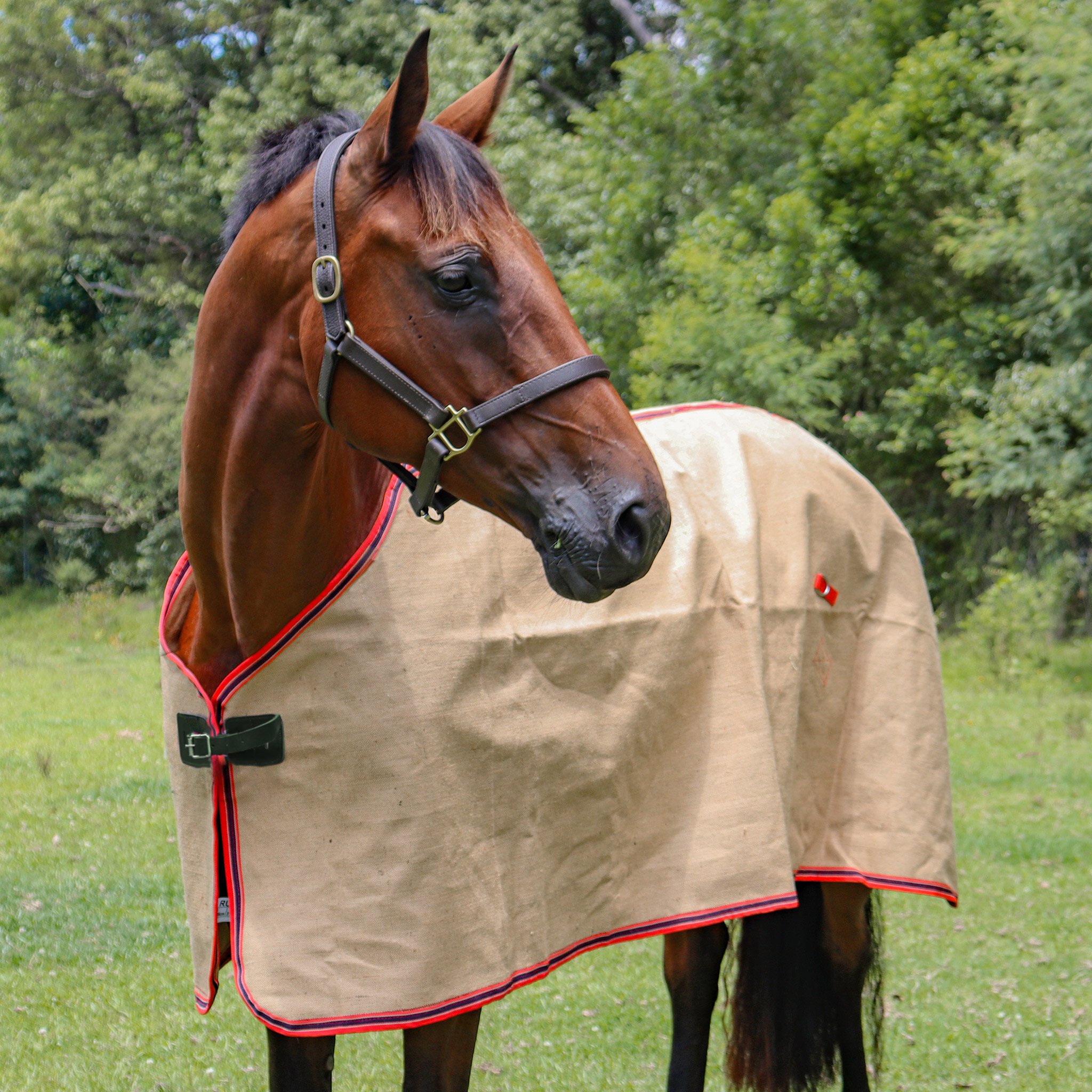 Zilco Natural Jute Unlined Rug - Horse Rugs-Under Rugs & Doonas ...