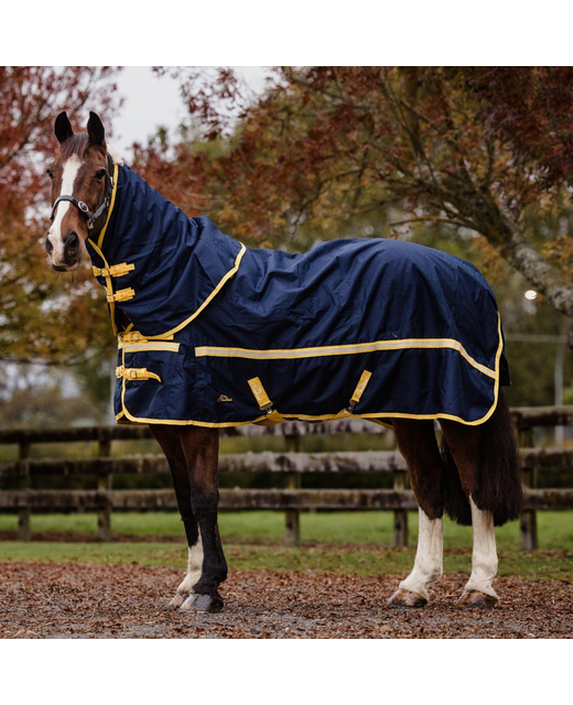 Cavallino Northampton Separates Set 100gm - Horse Rugs-100 Gram Fill ...