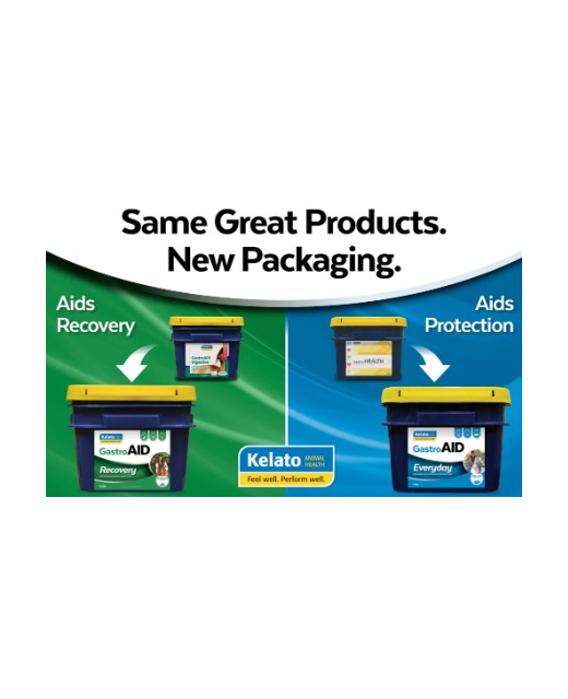Gastroaid Recovery - Horse Care-Horse Feed & Supplements : Richmond ...